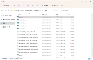 【PostgreSQL】バージョンの確認方法【Windows11】